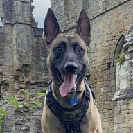 Slovakia v Northern Ireland. | Page 2 | FMTTM